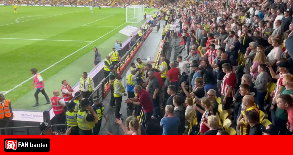 Watford v Sheffield United stopped as fans invade pitch pleading for ...