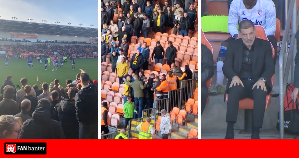 Watford fans try to fight each other as they watch their side lose at ...