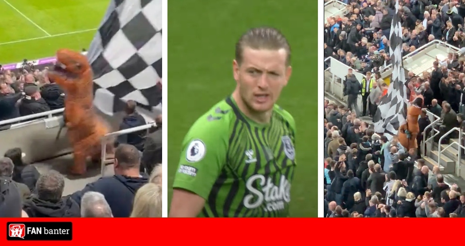 Newcastle fans sing hilarious chant mocking Everton's Jordan Pickford ...