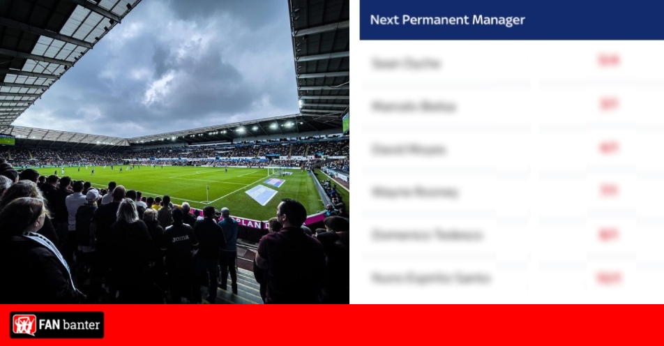 Favourites to become new Swansea manager after sacking head coach Alan ...