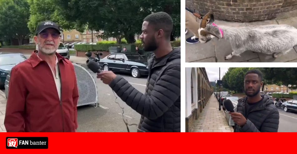 Eric Cantona goes viral in video of him walking a goat on a dog lead ...