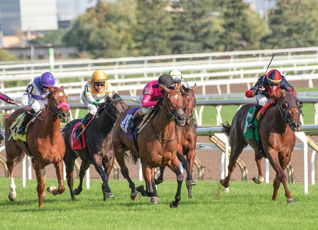 What the Stats Actually Tell Us About Epsom Derby Winners - Fan Banter